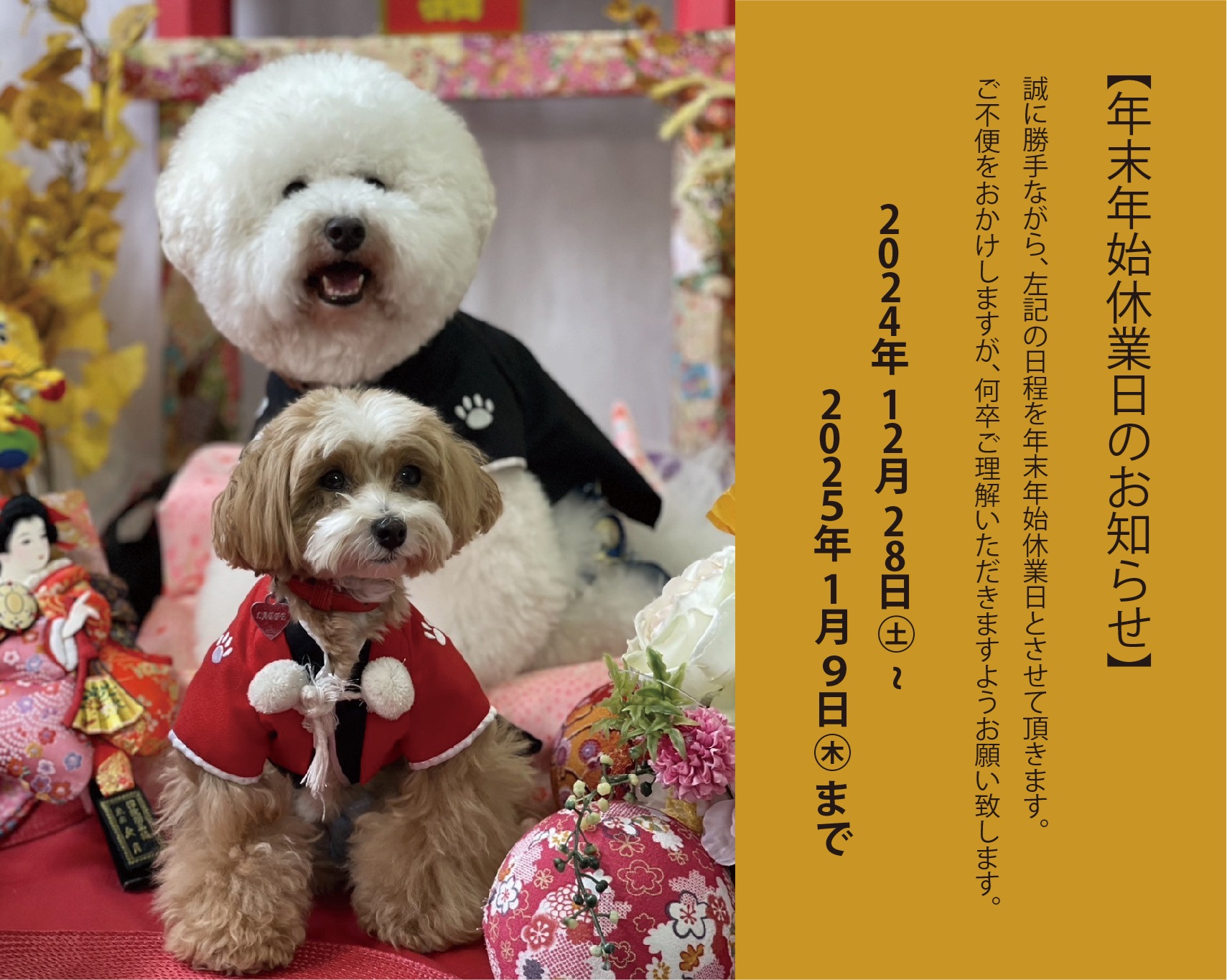 パパまるスタッフのブログ｜年末年始休業日のお知らせ｜かすみがうら市の注文住宅ならTAKUMI HOUSE／株式会社タクミ